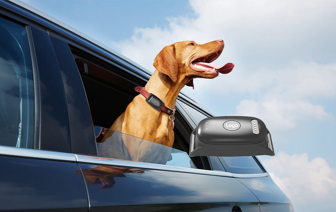 Customize Your Brand Logo on Eview GPS Pet Trackers | Eview GPS